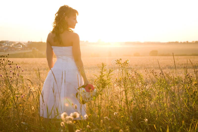 Sunny evening stock image. Image of fashion, imagination - 27898493