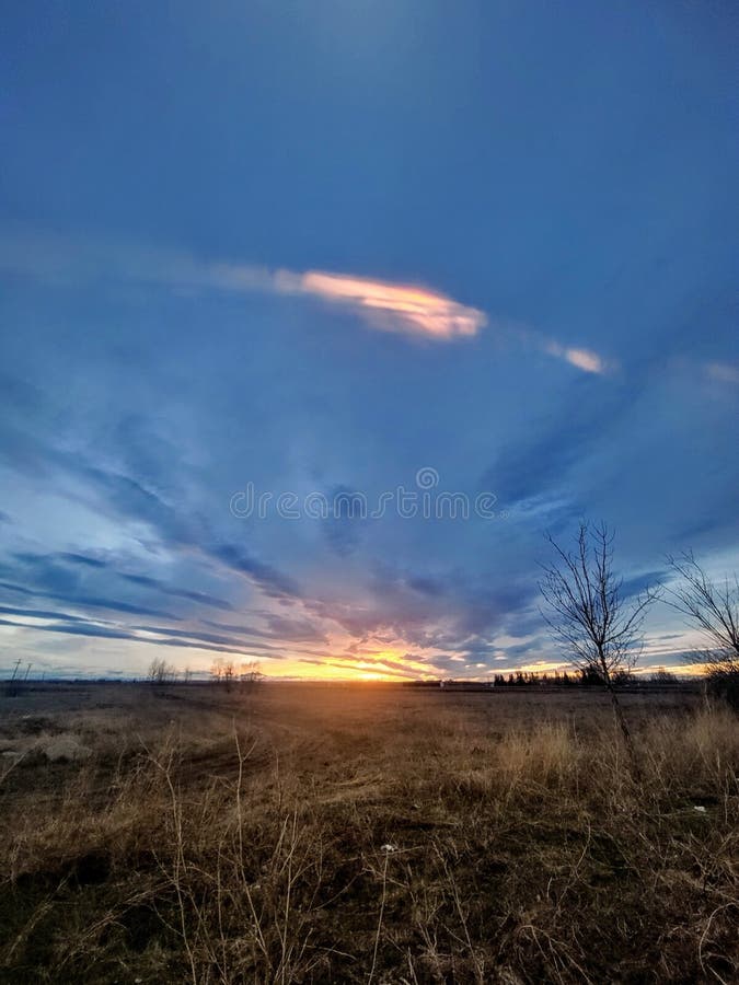 Sunny Evening Fields stock photo. Image of landscape - 220725884
