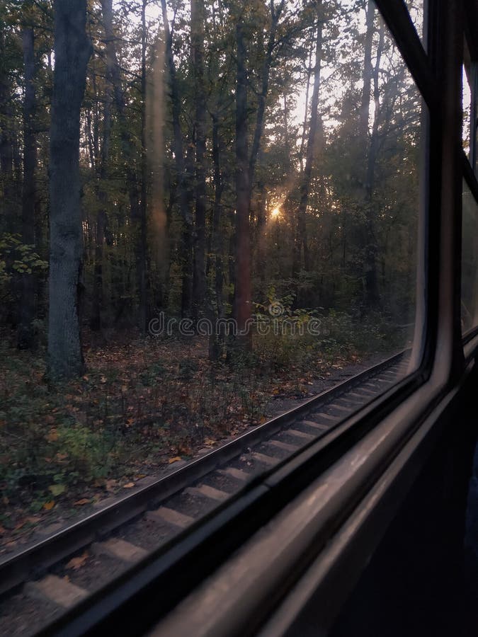 Railroad, Railway, Trees, Sunlight and Sunshine Stock Image - Image of ...