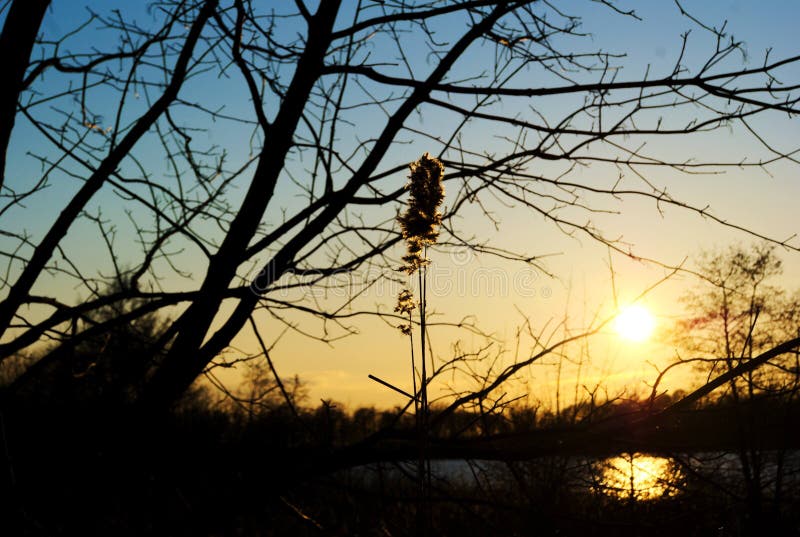 Sunny Evening View Autumn End of Winter Stock Image - Image of heat ...