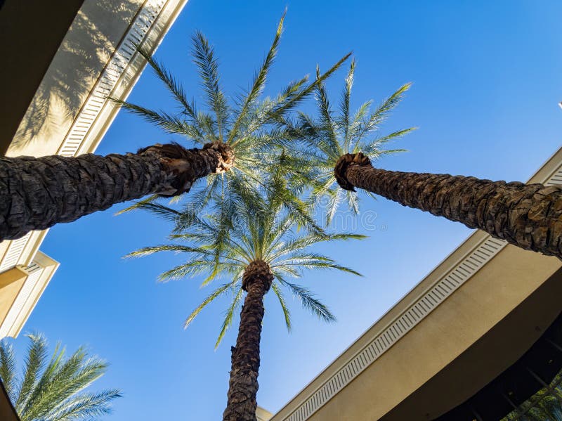 Sunny Exterior View of the Pebble Place Stock Photo - Image of exterior ...