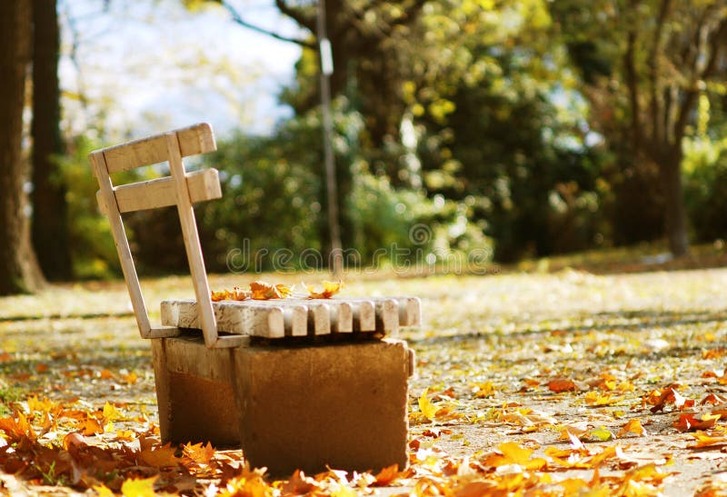 Sunny fall day in the park stock photo. Image of jogging - 6444608