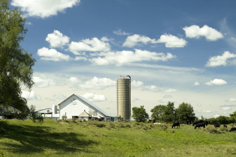 Sunny Farm stock image. Image of barn, america, silo - 21800571