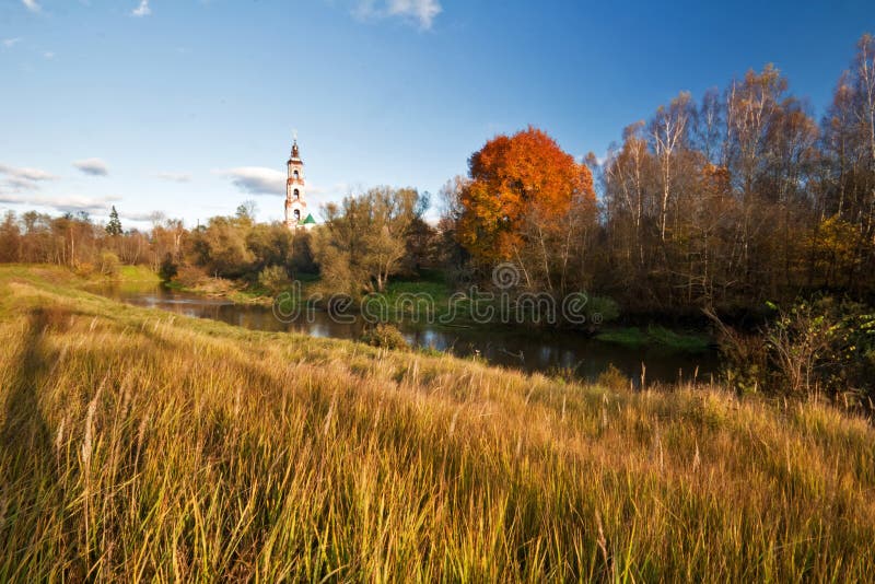 Sunny field stock image. Image of floral, garden, flora - 15176019