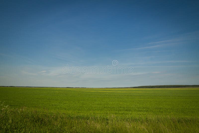 Sunny field stock image. Image of farm, sunny, agriculture - 98232971