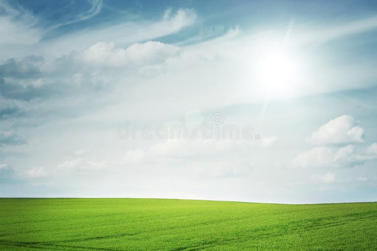 Sunny field stock photo. Image of colorful, beauty, empty - 30707272