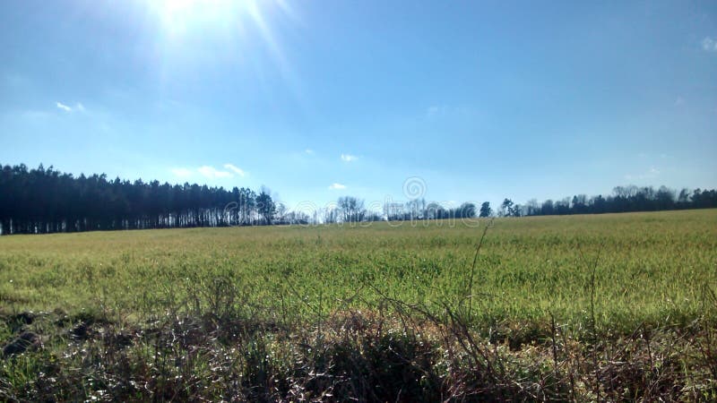 The sunny field stock image. Image of line, beautiful - 70079825