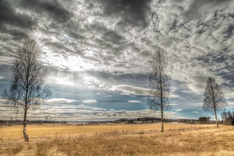 Sunny field stock photo. Image of outdoors, light, travel - 68691222