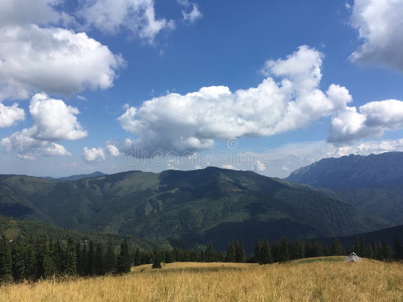 Sunny field stock image. Image of sunny, clouds, shaded - 126140761