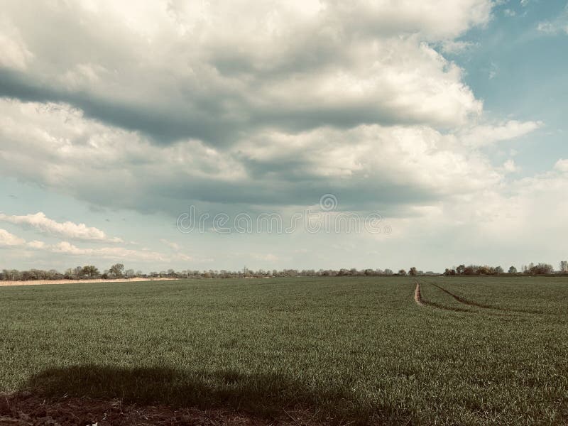 Sunny field stock image. Image of field, cloud, empty - 145667053