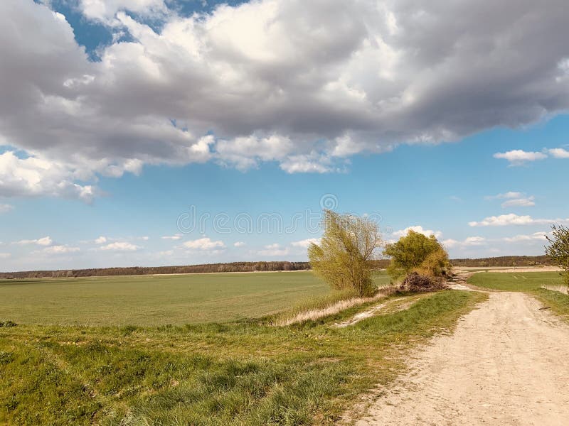 Sunny field stock image. Image of road, sunny, clouds - 145669821