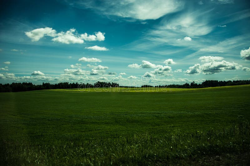 Sunny field stock photo. Image of fields, massive, green - 34566142