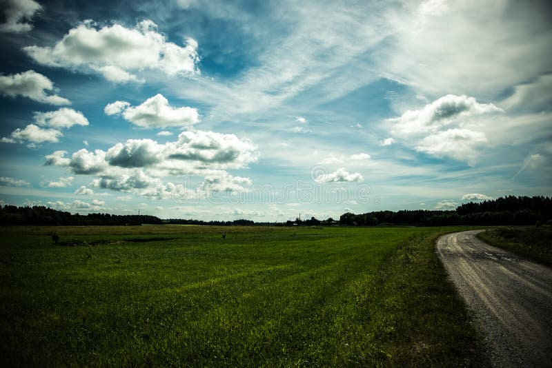 Sunny field stock photo. Image of sunny, summer, lonely - 34566722