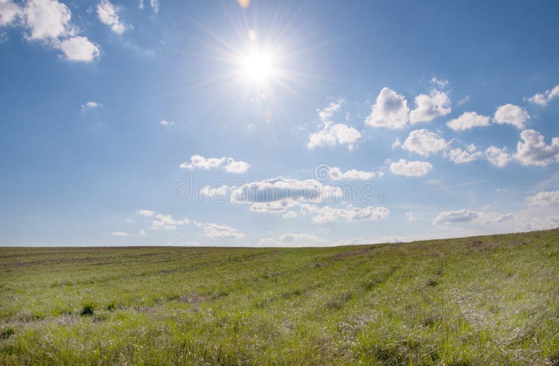Sunny Sky Over Grassy Field Stock Photo - Image of farmland, nature ...