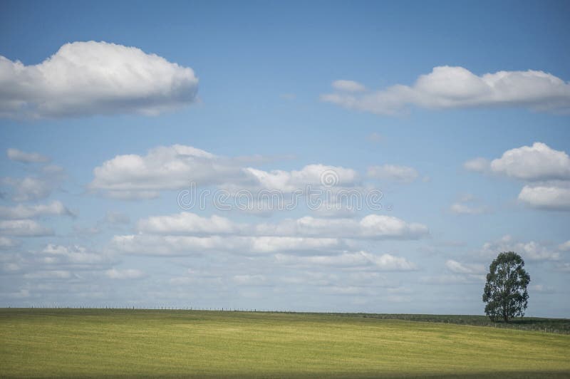 Sunny field stock photo. Image of blue, meadows, field - 64296710