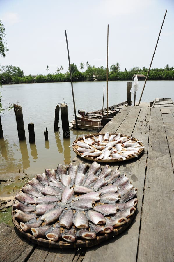 Sunny fish stock image. Image of bask, prepared, cooking - 32700007