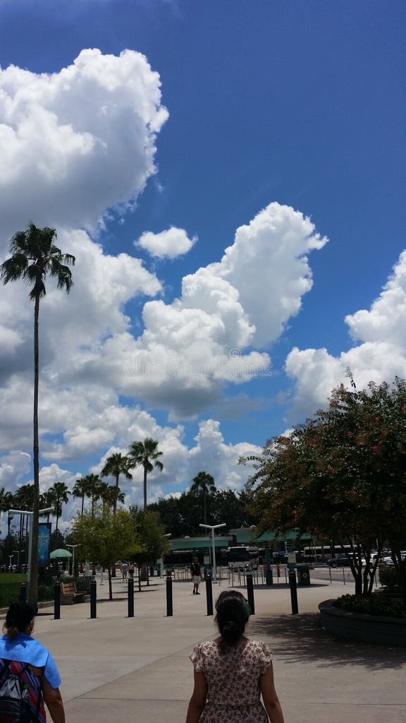 Sunny Florida editorial stock image. Image of florida - 45825024