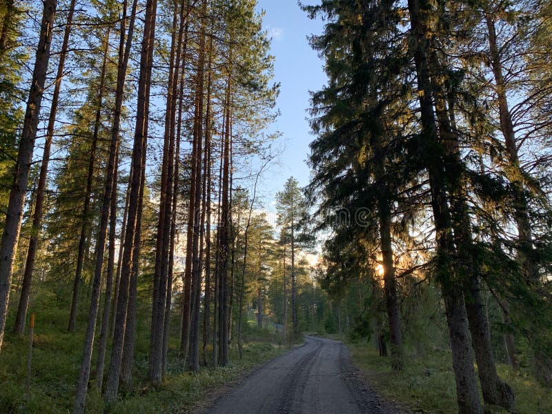 Spring Summer Landscape Blue Sky Clouds River Boat Green Trees in ...