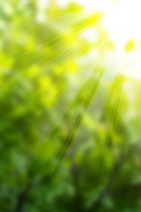 Sunny green backgroud stock image. Image of playful, cheery - 56617427