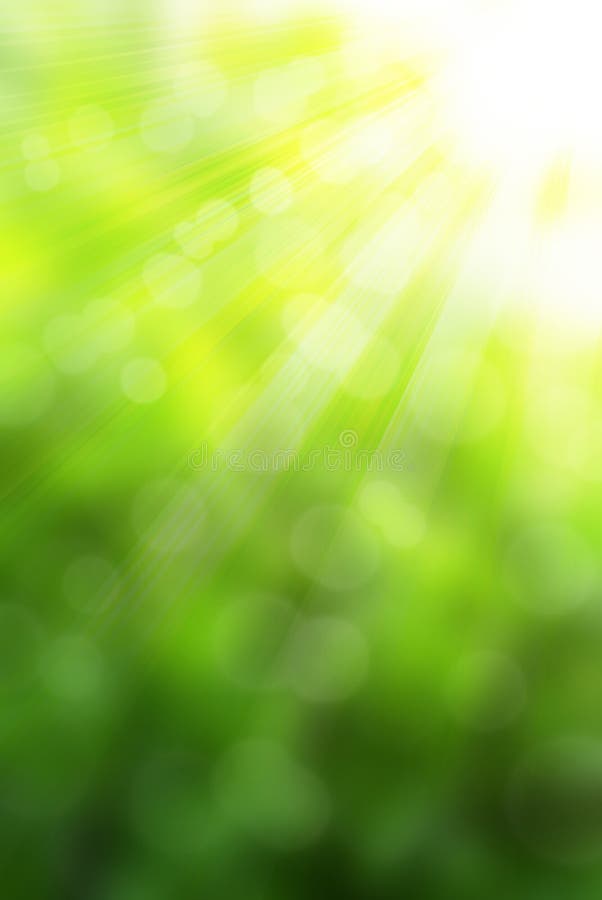 Sunny green backgroud stock photo. Image of happy, hotspot - 56617342