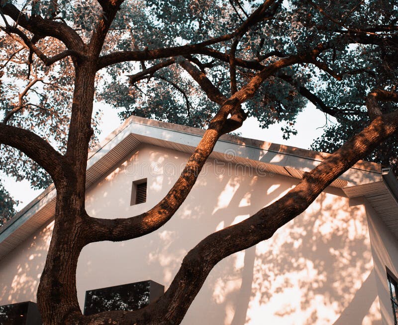 SUNNY HOUSE warm feeling stock image. Image of green - 125029707