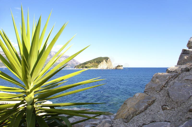 Sunny island stock photo. Image of paradise, landscape - 3103576