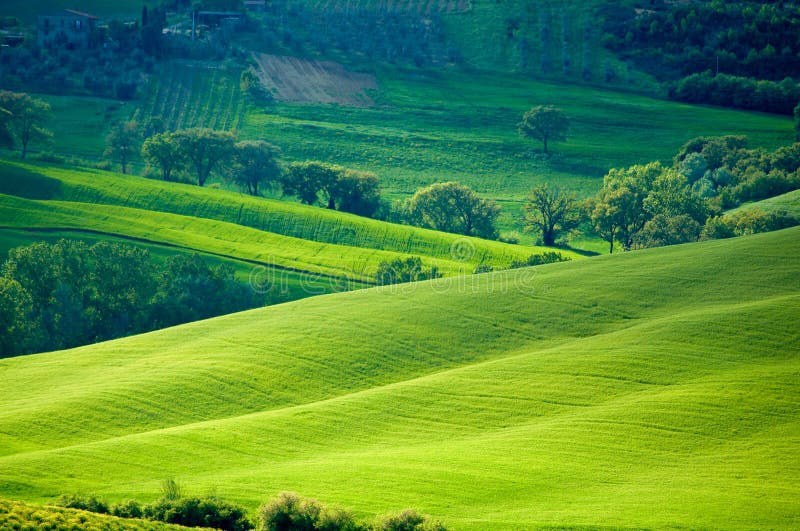 Italian countryside stock image. Image of area, cultivated - 5782161