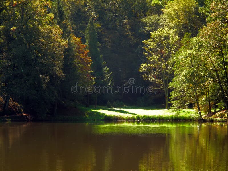 Sunny Lake in the Deep Forest - Sun Rays on the Meadow Stock Photo ...