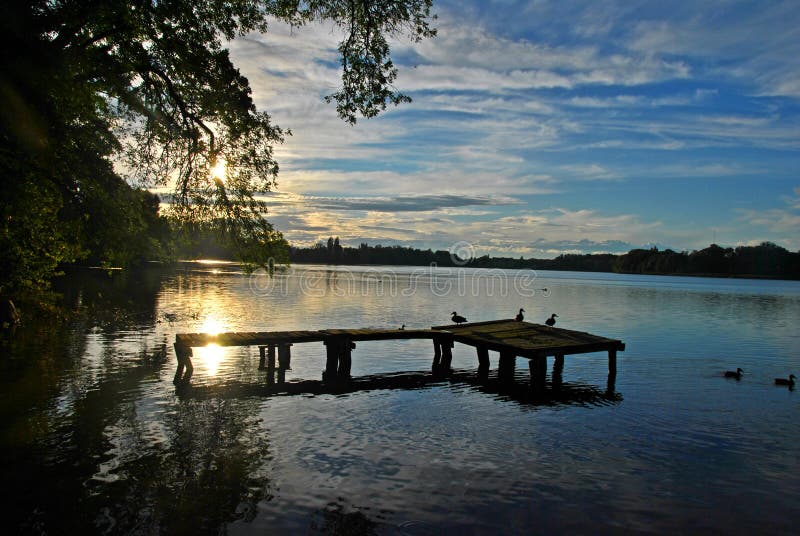 Sunny lake stock photo. Image of sunny, summer, nature - 72080888