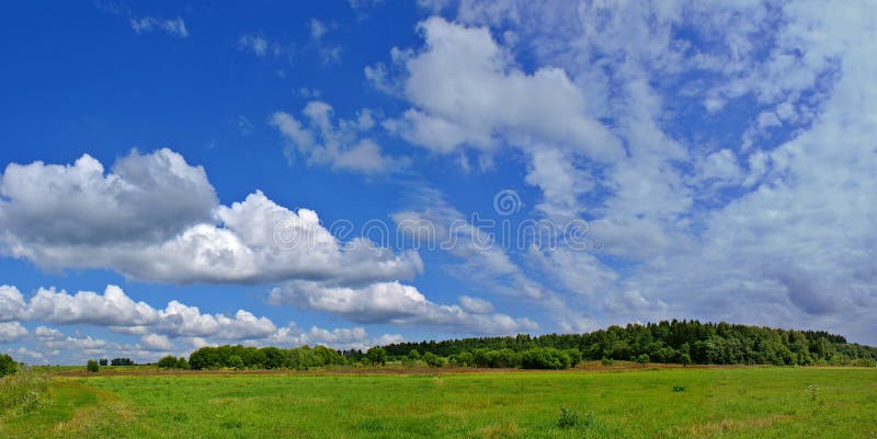 Sunny landscape b stock photo. Image of meadow, summer - 11161690