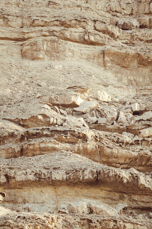 Sunny Landscape of a Dry Desert Landscape Stock Image - Image of desert ...