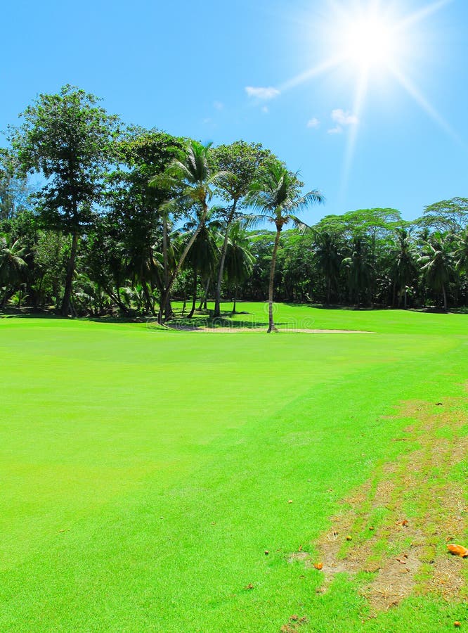 Sunny Landscape stock photo. Image of house, nature, dream - 47655362