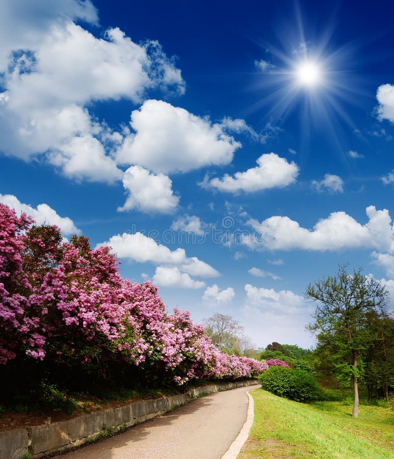 Road to the spring garden stock image. Image of color - 29980615