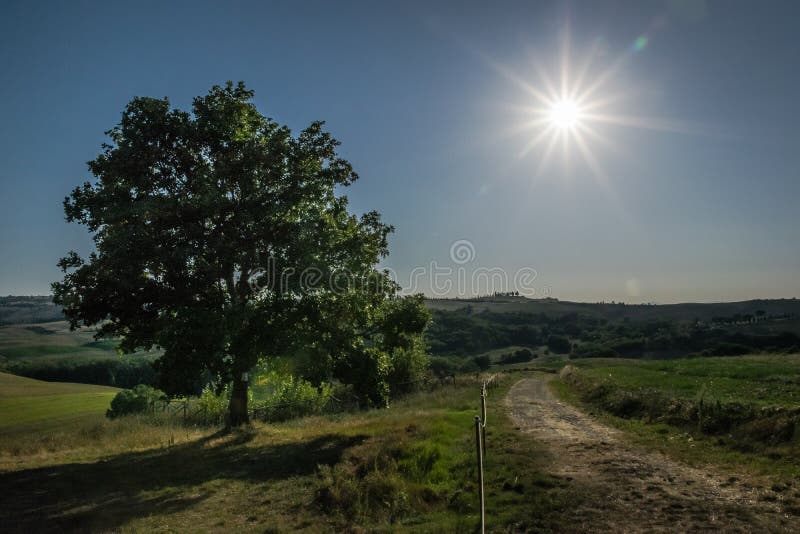 Sunny landscape stock image. Image of rural, italy, field - 177009065