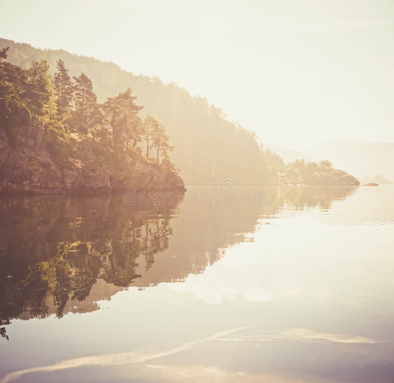 Sunny Landscape with a Watery Surface Stock Photo - Image of sunny ...