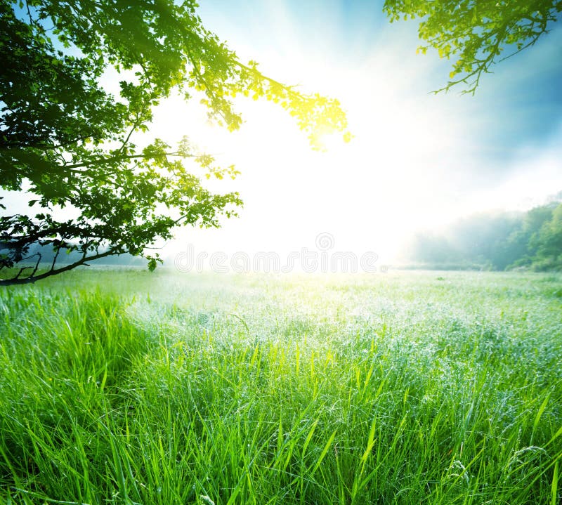 Sunny meadow stock image. Image of light, mountains, grassland - 54191933