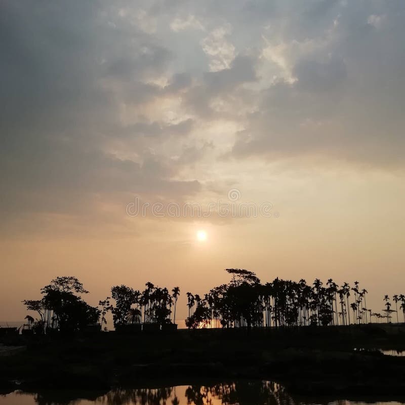 A sunny moment stock image. Image of moment, tree, sunny - 163245631