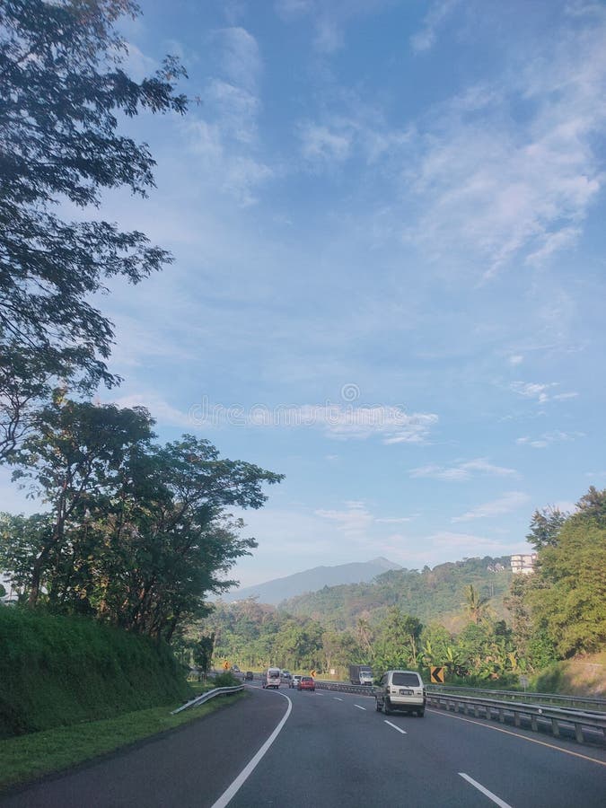 Sunny Morning Atmosphere Adorned with Trees Along the Road Stock Photo ...