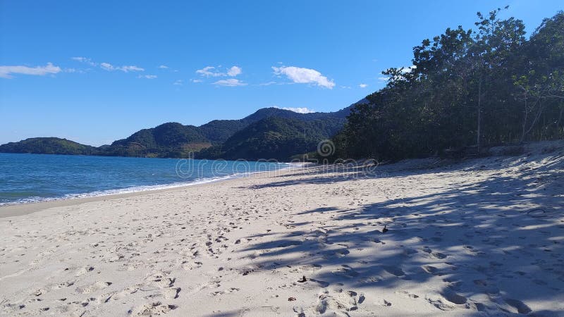 Sunny Morning on a Beach in Brazil Stock Image - Image of morning ...
