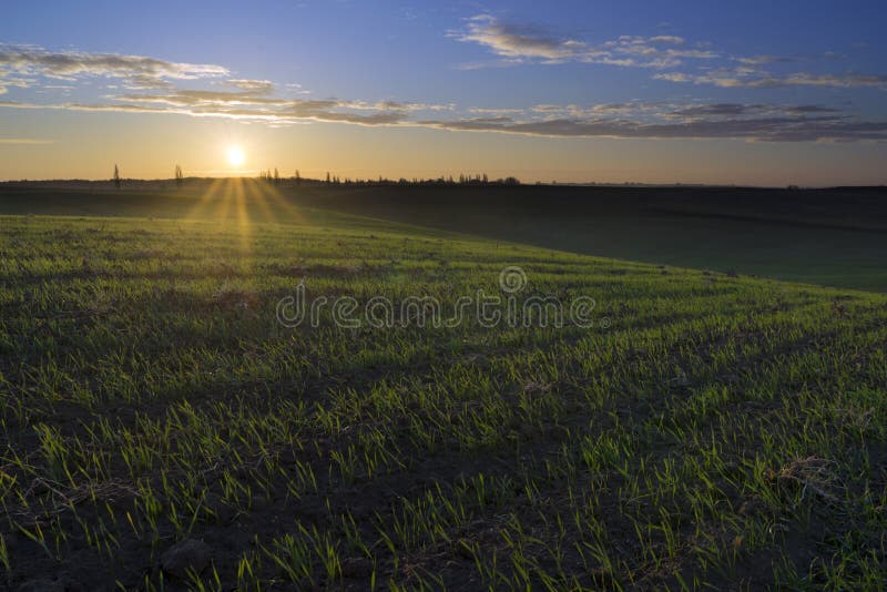 Sunny Morning in the Countryside Stock Image - Image of foliage, nature ...