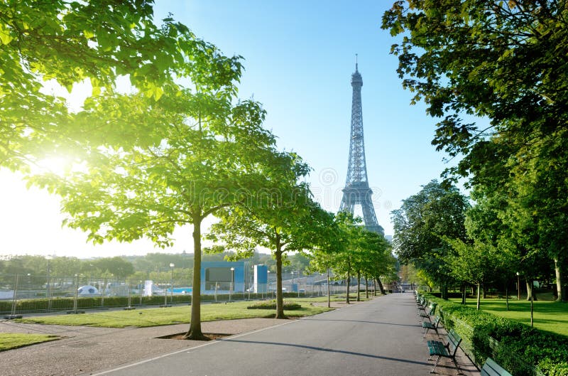 Sunny Morning and Eiffel Tower, Paris Stock Photo - Image of leaf ...