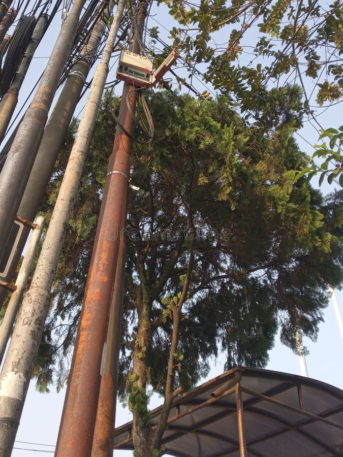 1,624 Electric Poles Trees Stock Photos - Free & Royalty-Free Stock ...