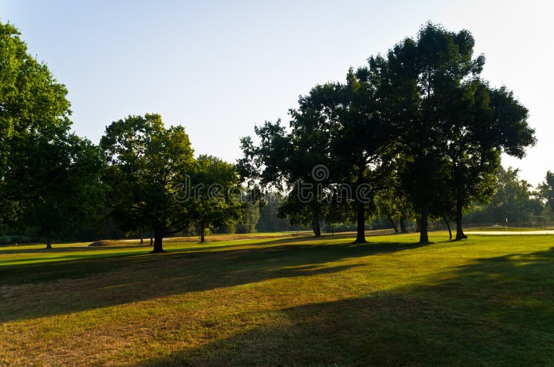 Morning golf stock image. Image of club, lefthanded, morning - 2632163
