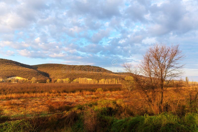 Sunny morning landscape stock image. Image of mountain - 84168433