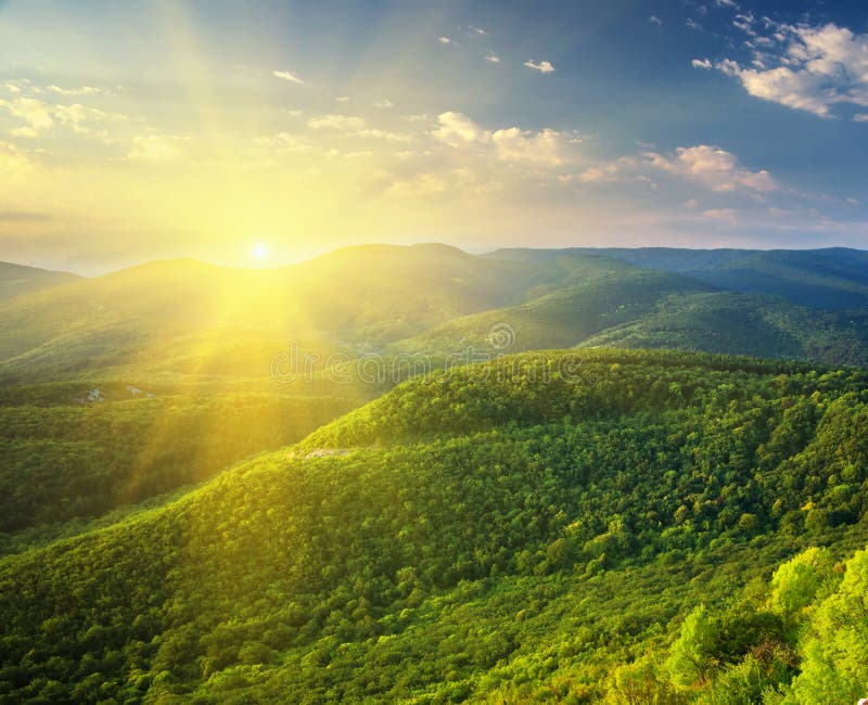 Sunny morning in mountain. stock photo. Image of forest - 99135364