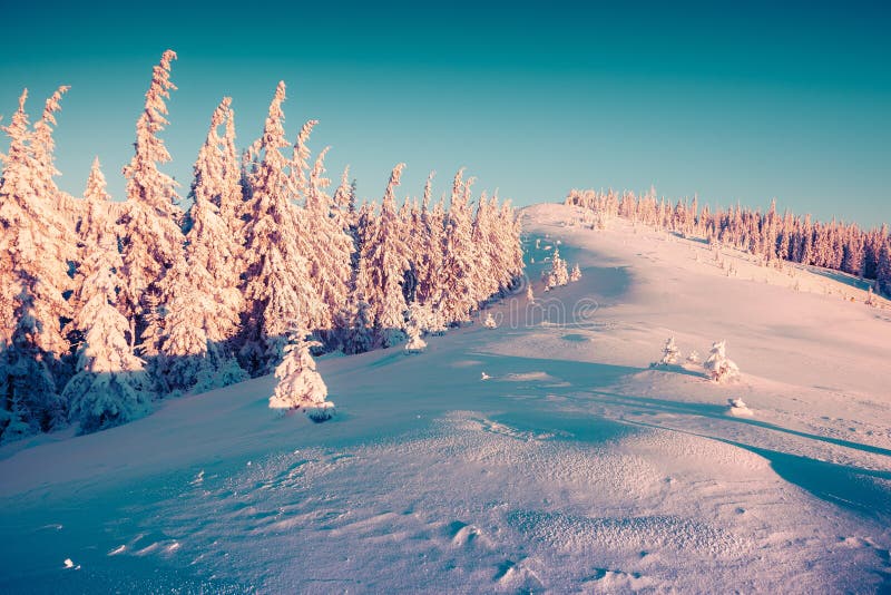 Sunny Morning Scene in the Winter Mountain. Stock Photo - Image of ...