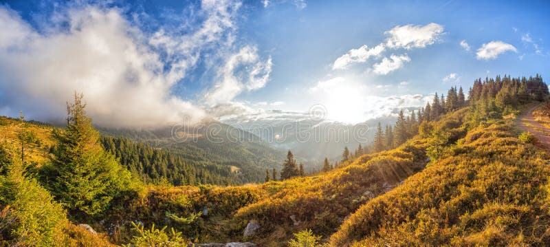 Sunny Morning in the Ukrainian Carpathia Stock Photo - Image of ...