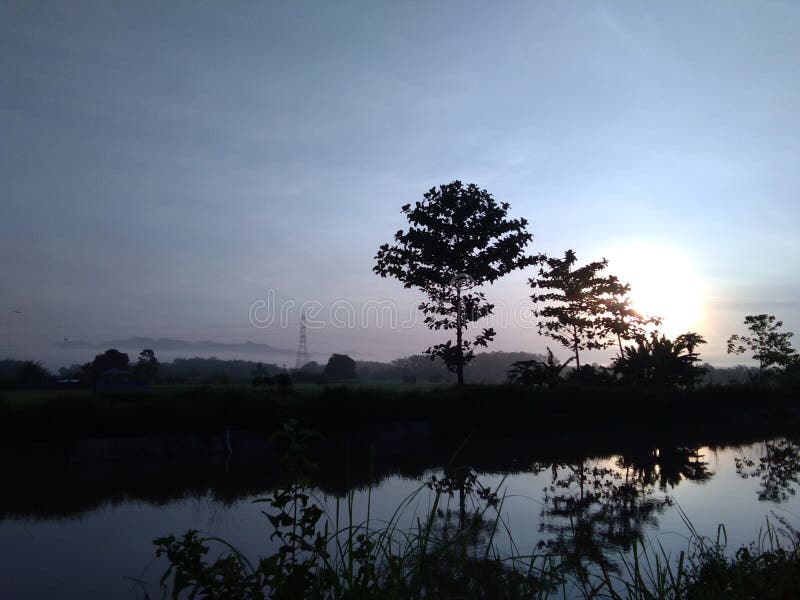 Sunny morning on the water stock photo. Image of landscape - 262621786