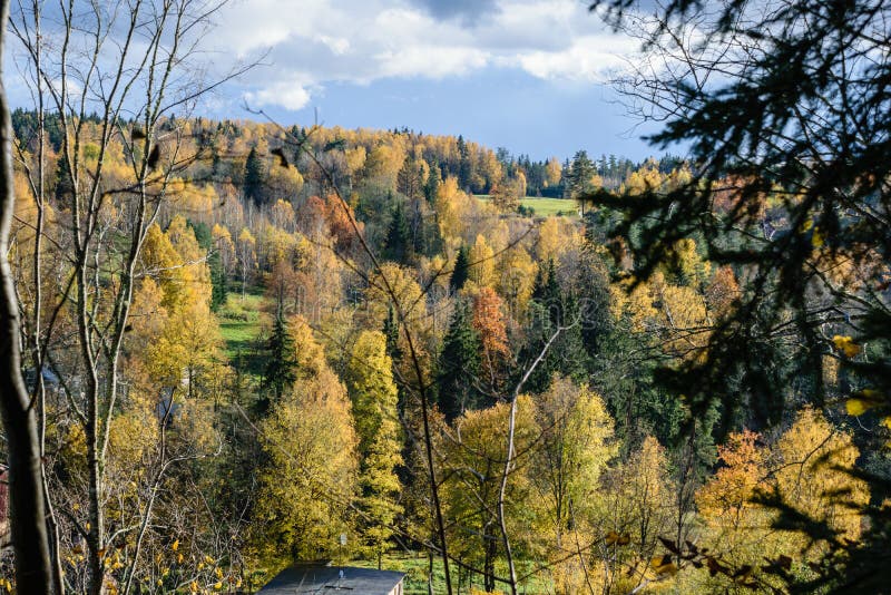 Panoramic View of Autumn Forest Stock Photo - Image of nature, misty ...