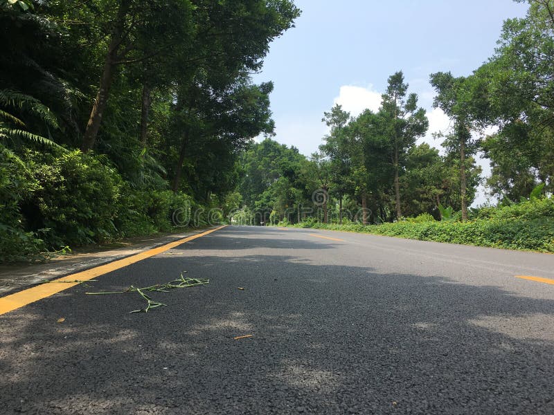 Quiet Road Surrounded by Green with Modern Buildings in the Background ...